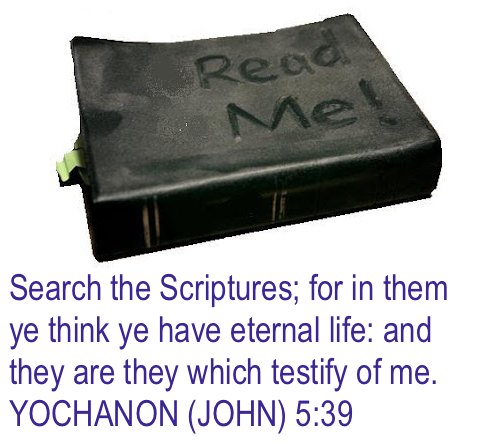 Search the Scriptures - Search The Old Testament Scriptures | Truther's ...