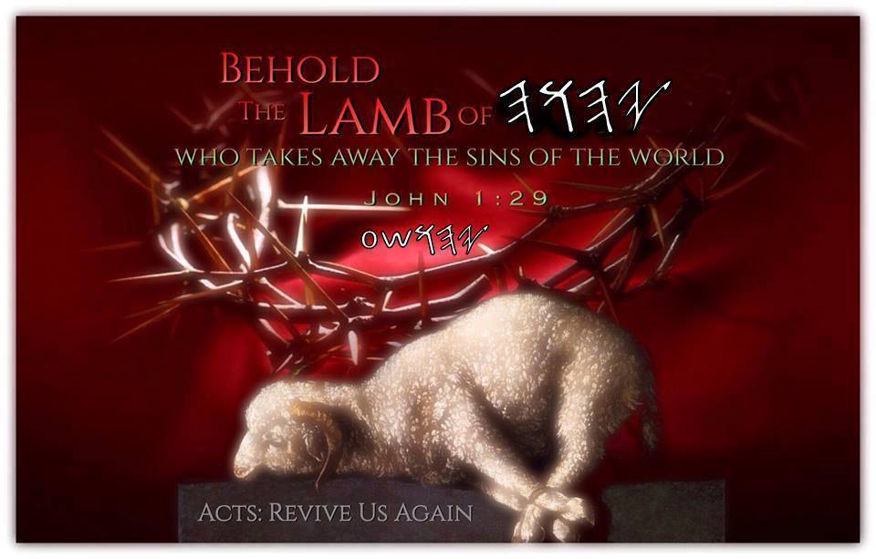 THE BLOOD OF A LAMB NEUTRALIZE POISON | Truther's Journal