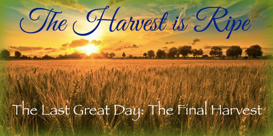 The Last Great Day: The Final Harvest | Truther's Journal